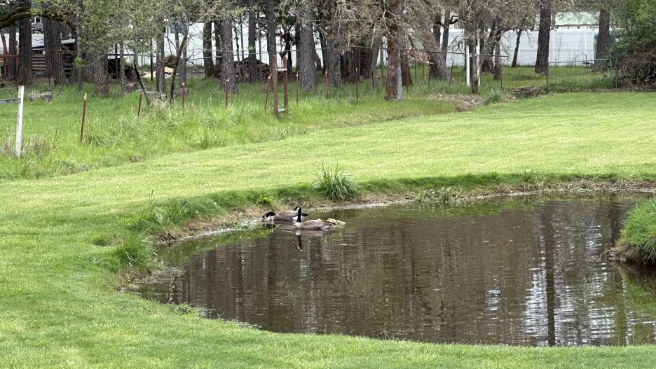 결혼해 미국시골로 이사온 그 후