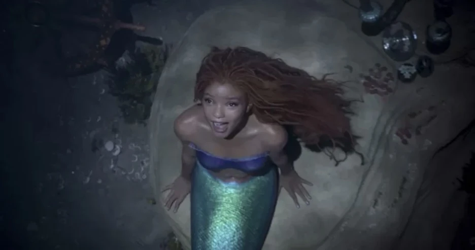 그들은 왜 Not my Ariel을 외쳤나