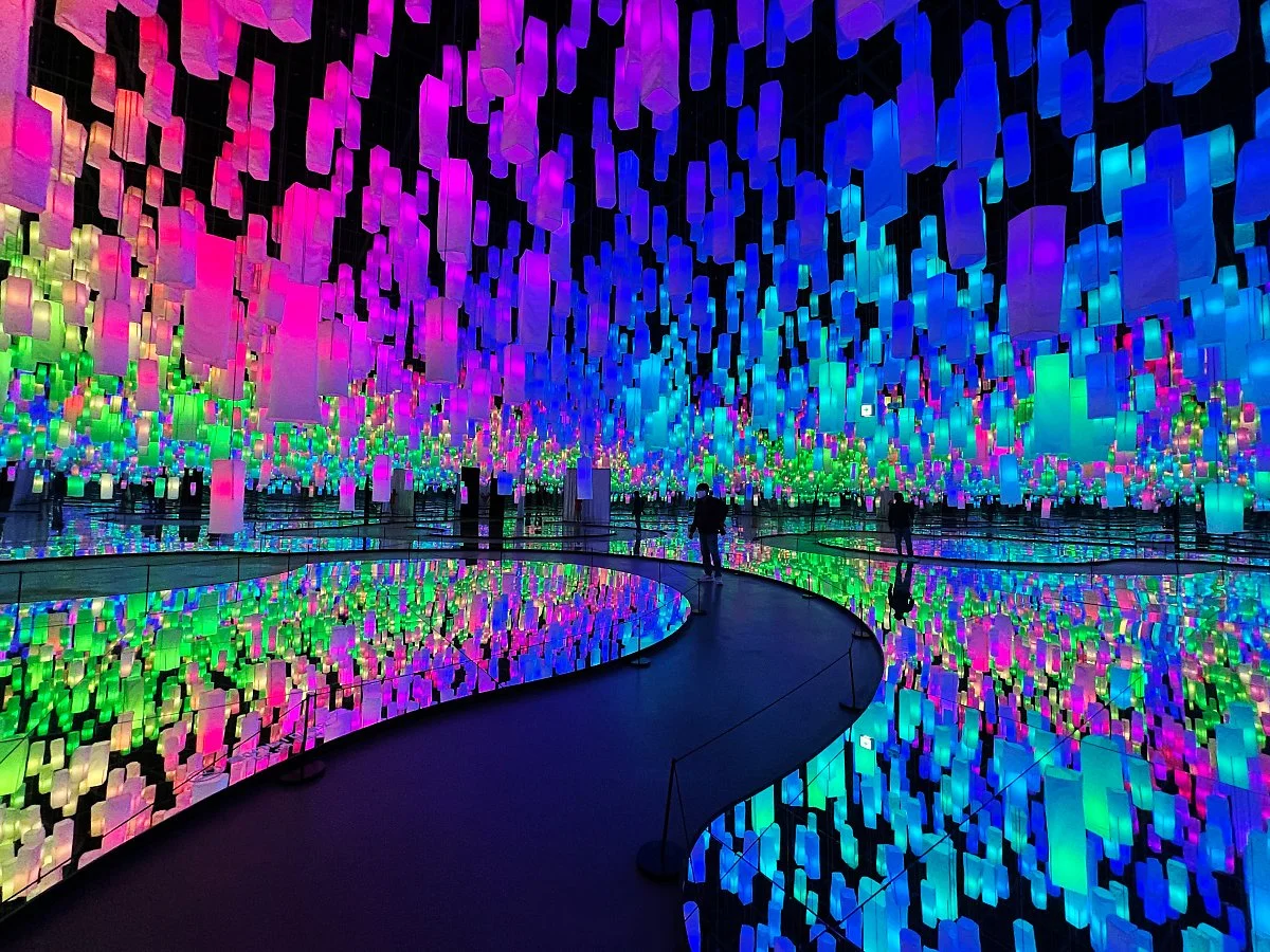꿈 보다 더 황홀한 경험, 딜라이트 담양