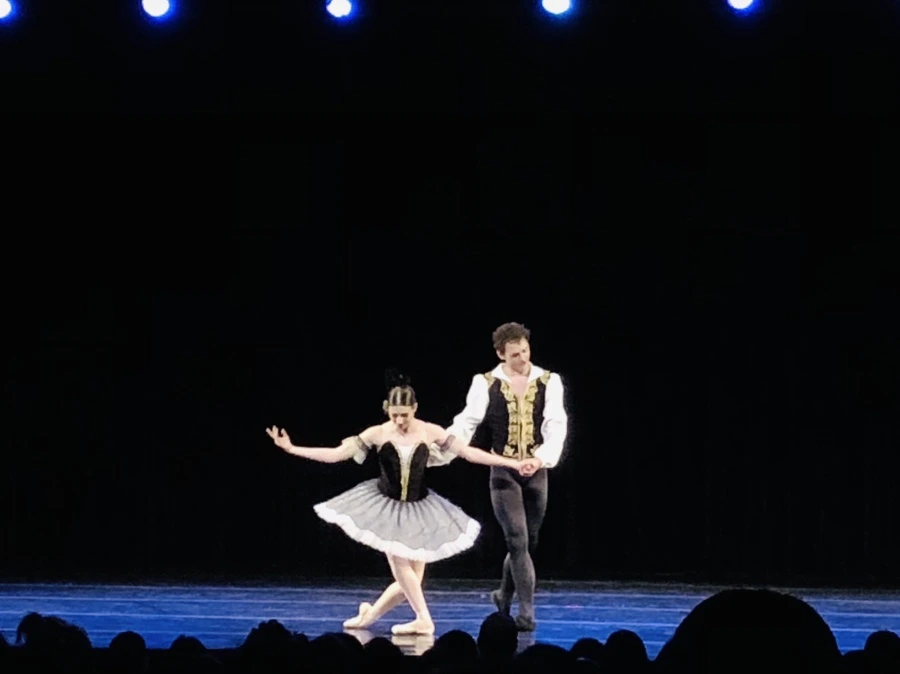 VKDF Spring Gala