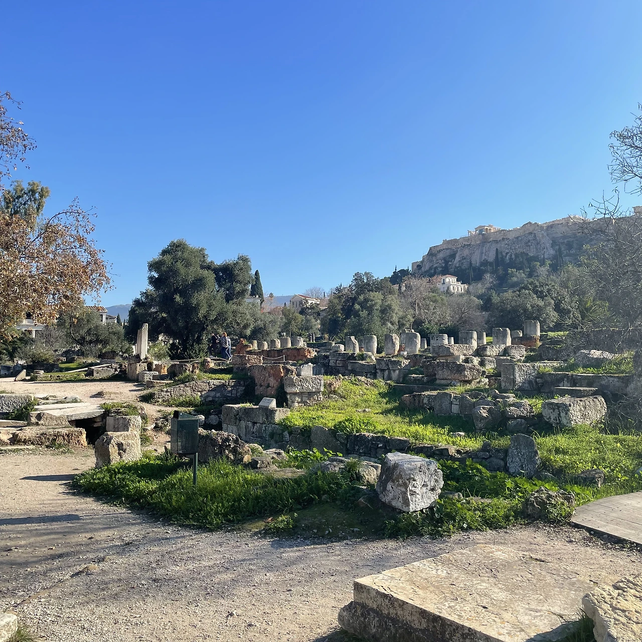 21화 그리스 아테네 (2)