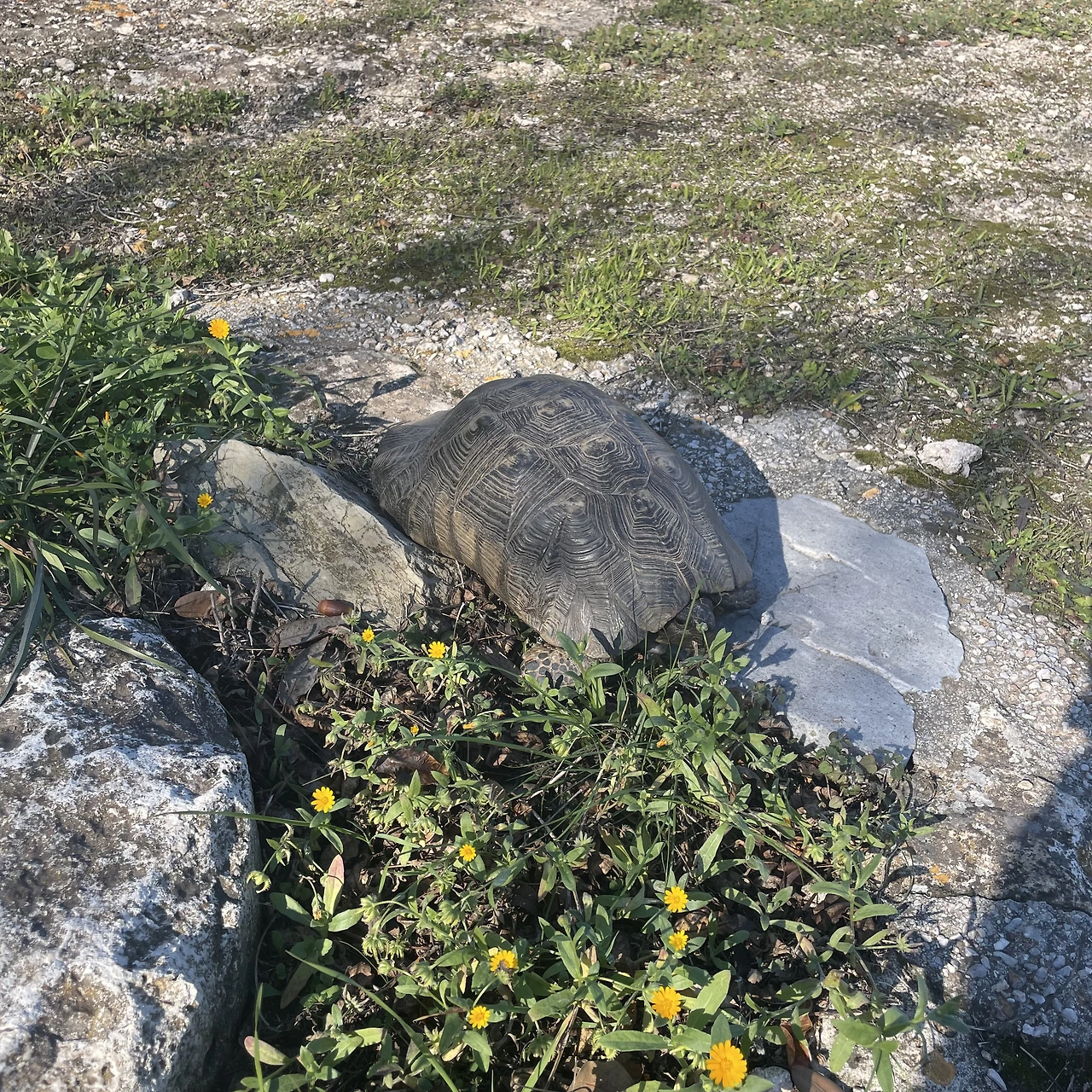 21화 그리스 아테네 (2)