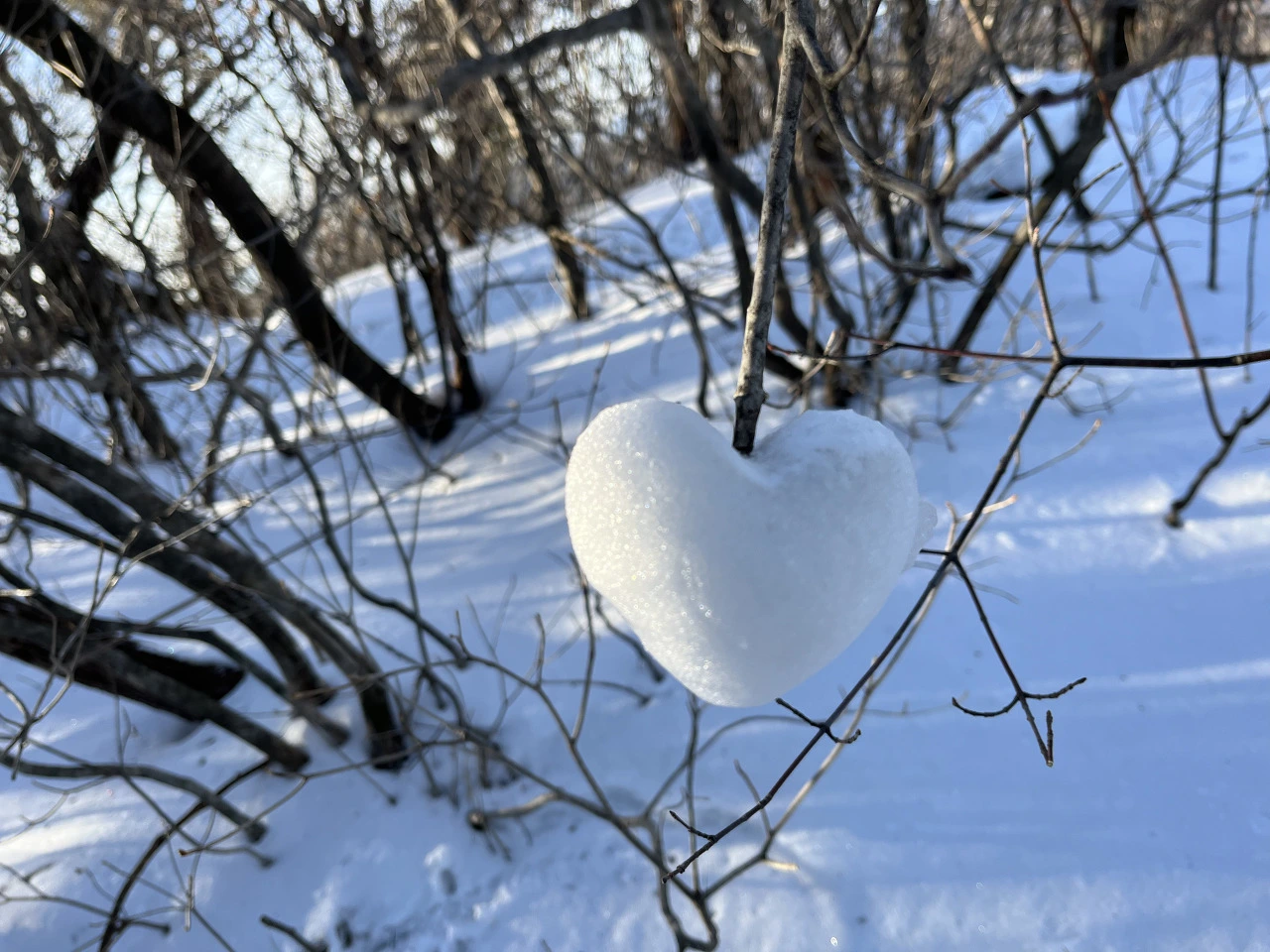 함박눈보다 함박웃음
