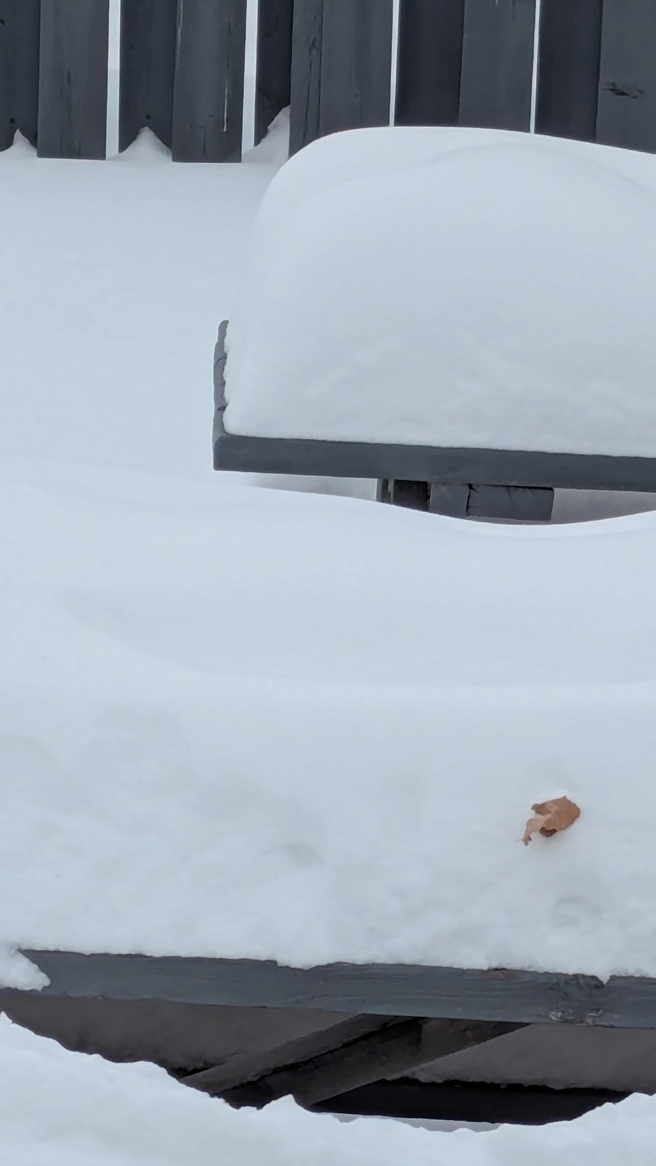 자연을... 가슴에 안고 살아가는 이유