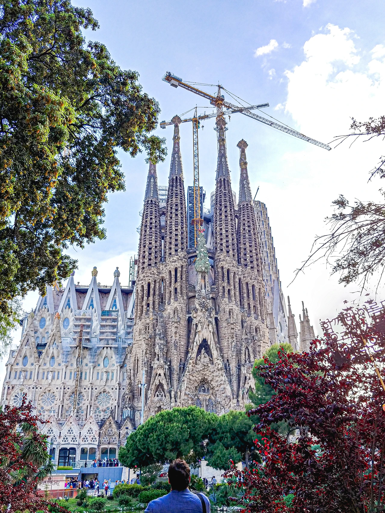 12화 도시는 바뀌어도 사랑은 여전히.