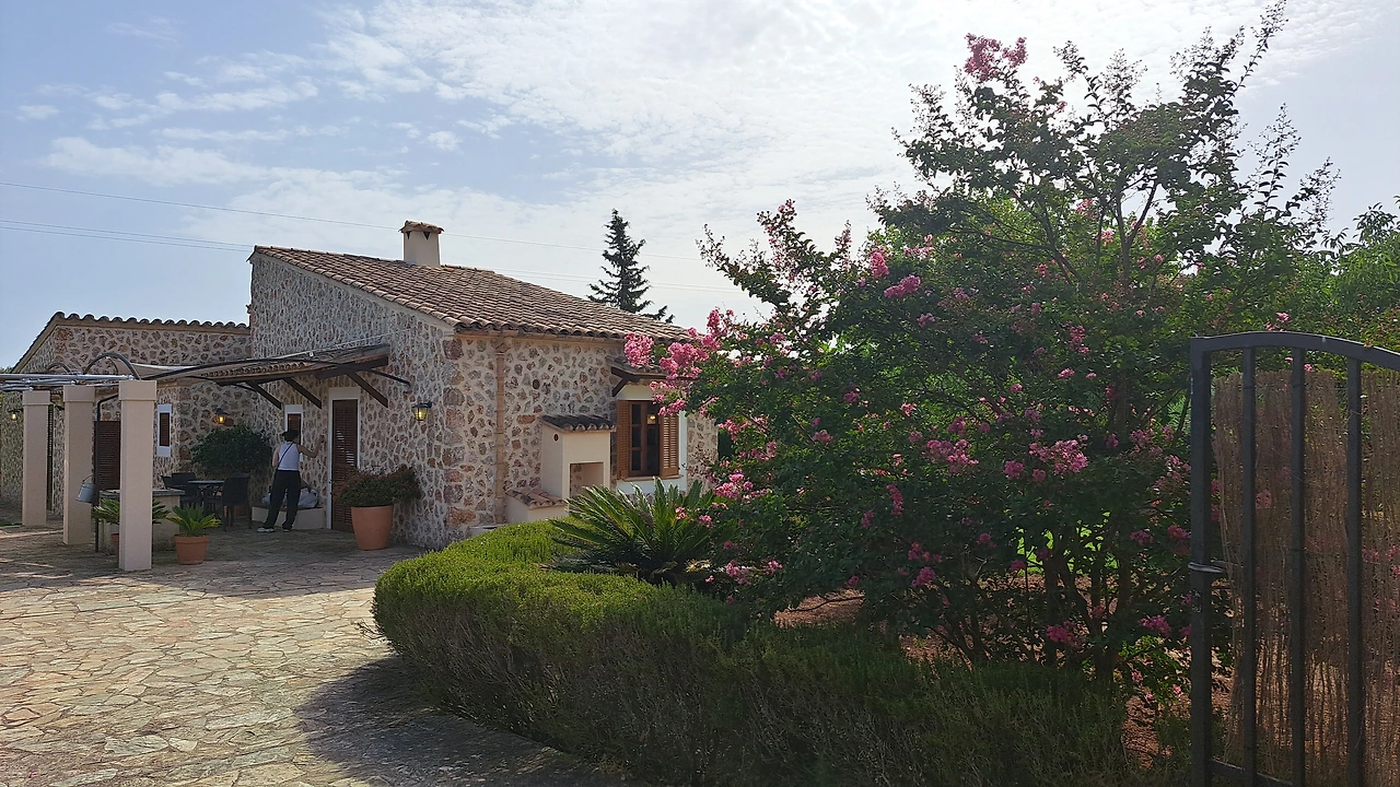 10화 5일간의 마요르카 캣맘