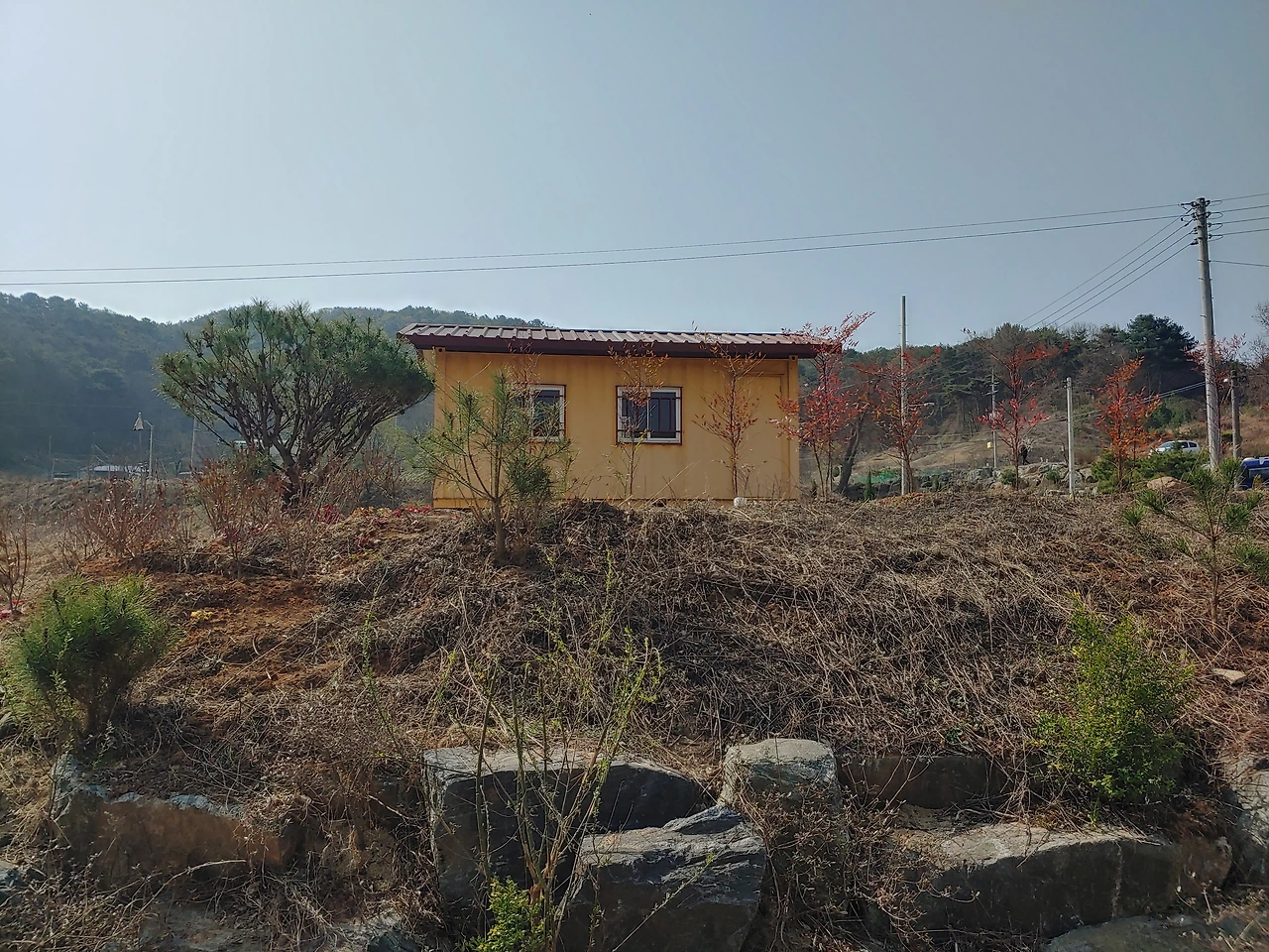 내가 나무를 심는 이유-식목일