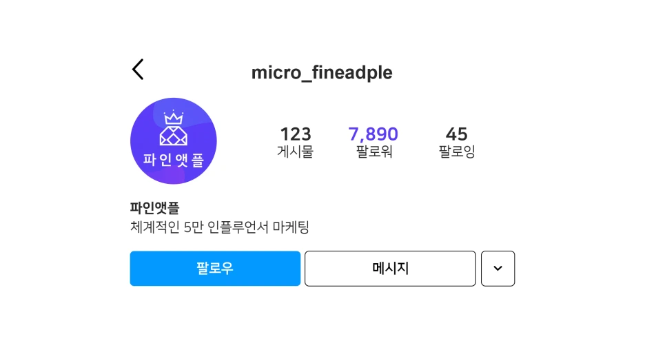 영향력에 따라 달라지는 SNS 인플루언서의 종류