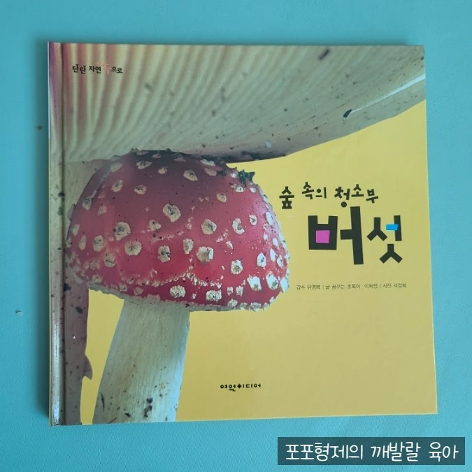 버섯을 너무 좋아하는 아이