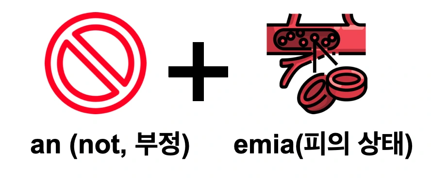 혈액 관련 의학용어, 접두사와 접미사