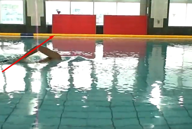 13화 수영은 폼이 이뻐야 한다 특히 손은 더욱 그러하다