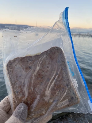 [독서 감상] 마흔에 읽는 쇼펜하우어