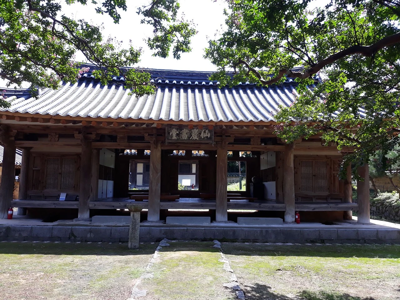 02화 민족의 아픔을 함께 한 소나무들