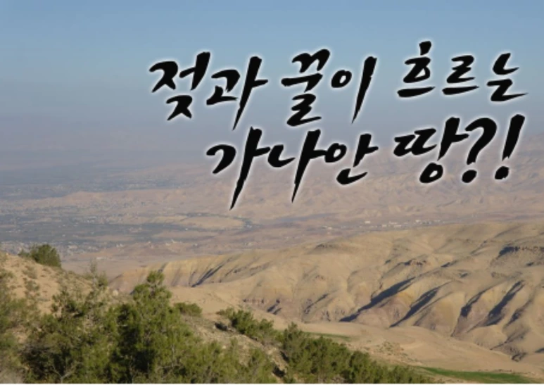 이스라엘 팔레스타인 75년 분쟁의 원인과역사 완벽 정리