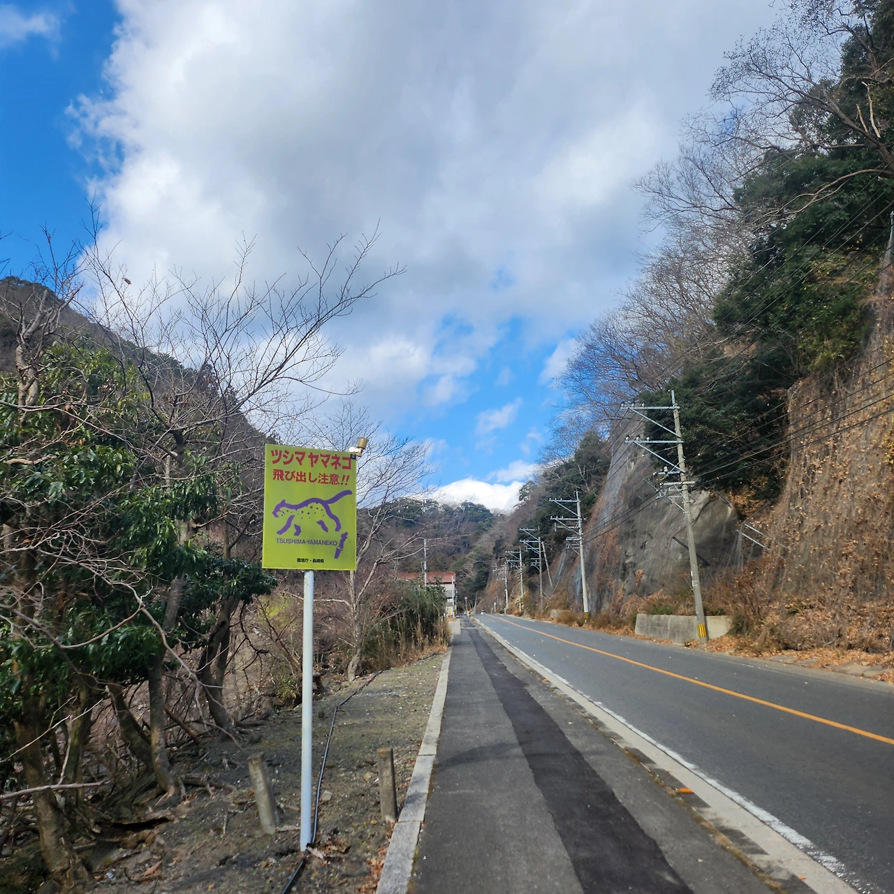 우리도 위스키 유행 따라잡아보자