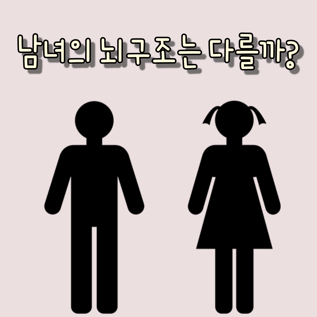 남자와 여자의 대화 차이 우리가 다투는 비밀
