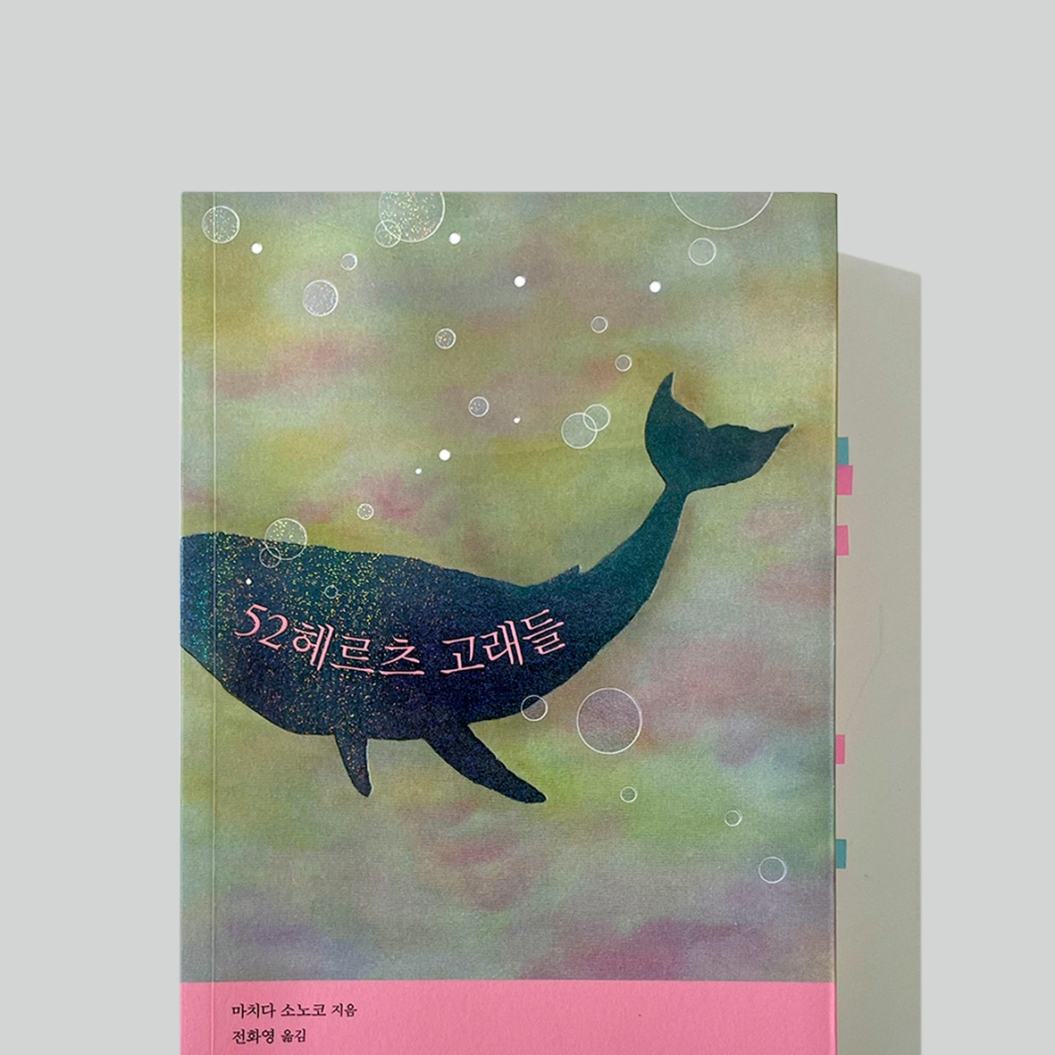 세상에서 가장 외로운 고래를 만나러 갑니다