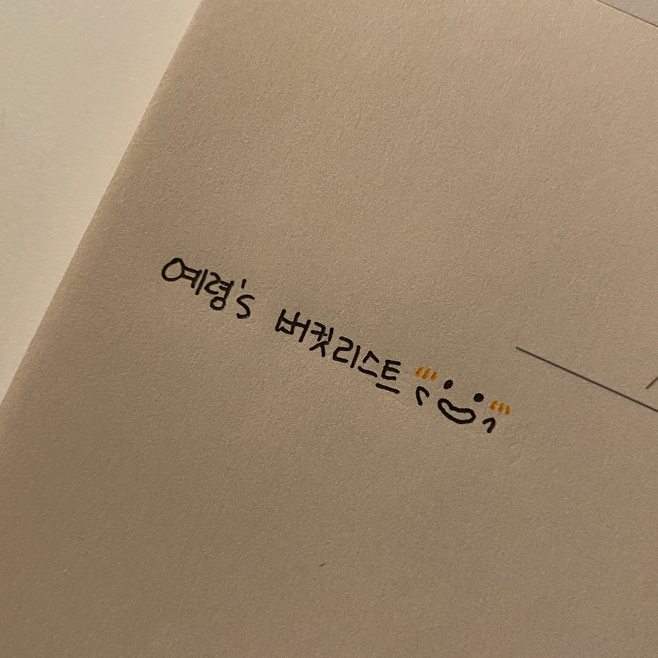 요즘 내 할 일은 ‘버킷리스트 100개 채우기