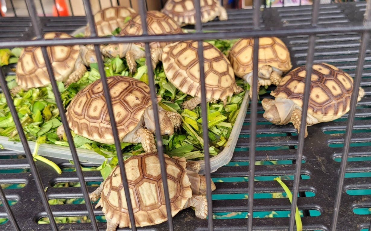 Bangkok BTS Ari 태국 실제 물가 2023년