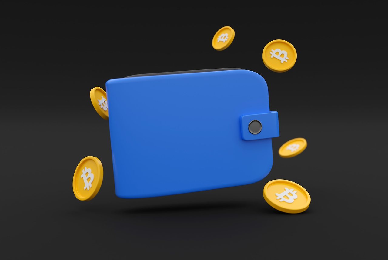 암호화폐 지갑crypto Wallet