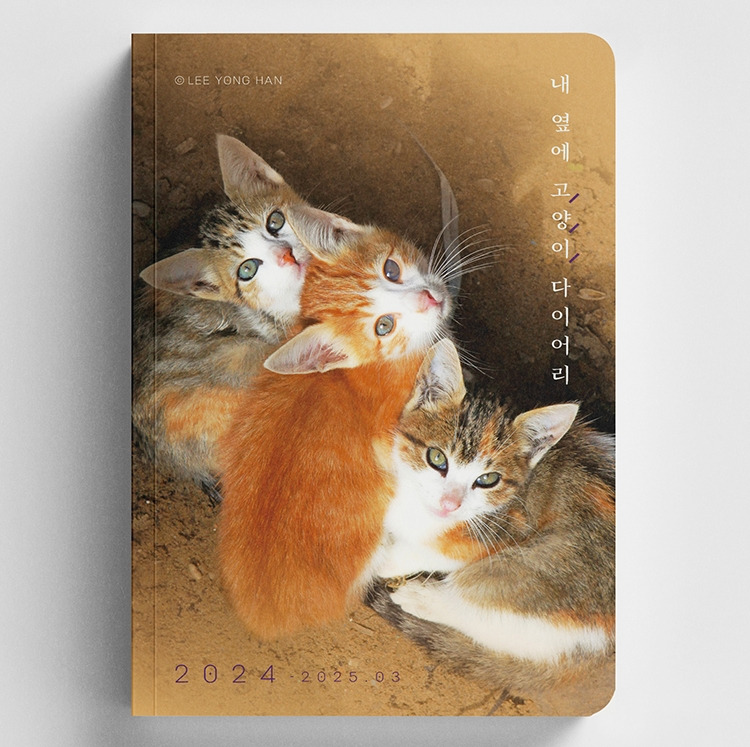 고양이 다이어리 표지 투표