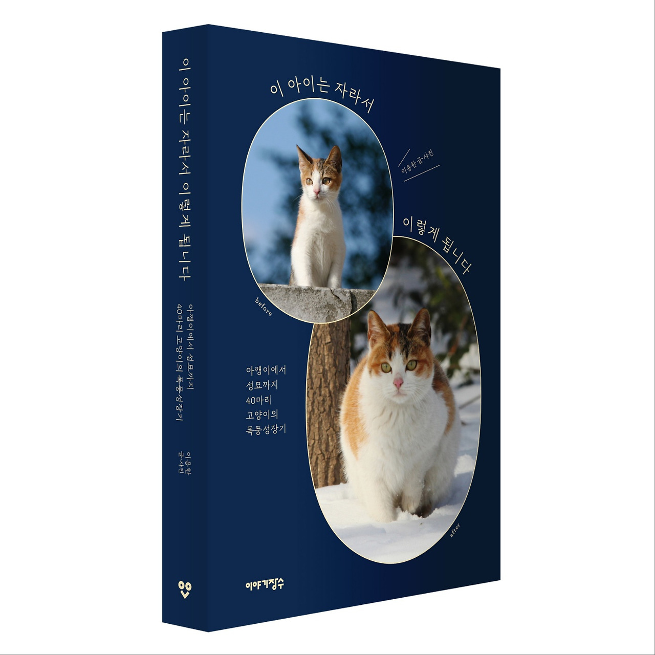 고양이 티셔츠 품절 임박