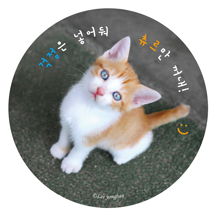 예스24에서 고양이 다이어리