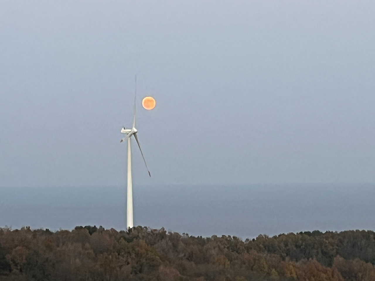 사소한 일상 25 문을 닫고