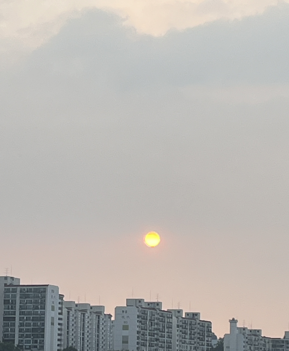 사소한 일상 70 누군가 정해준
