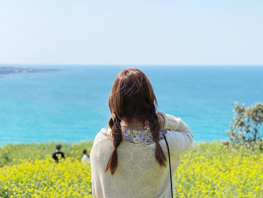 노란 파도 넘실대는 제주도 유채꽃 명소 5곳