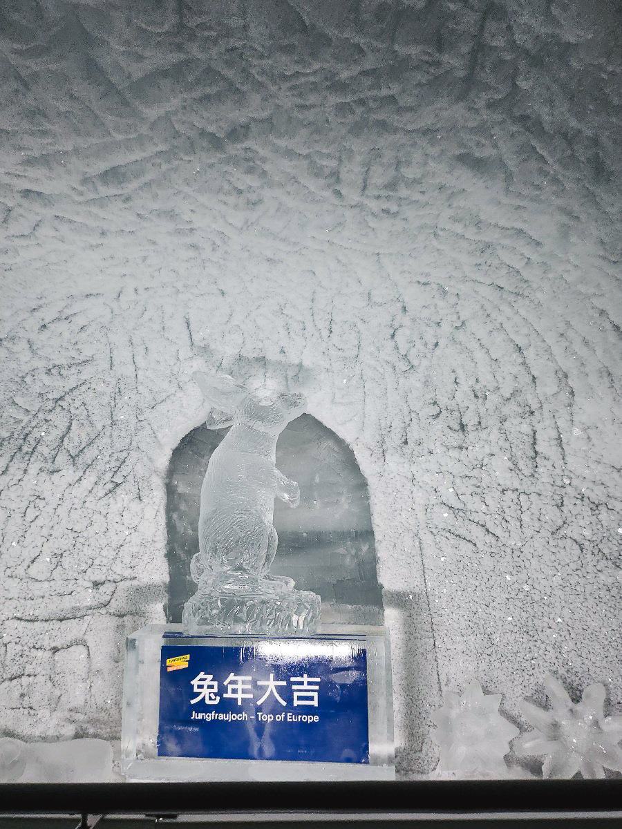 첫 모녀유럽여행 21 지독한 고산증 융프라우