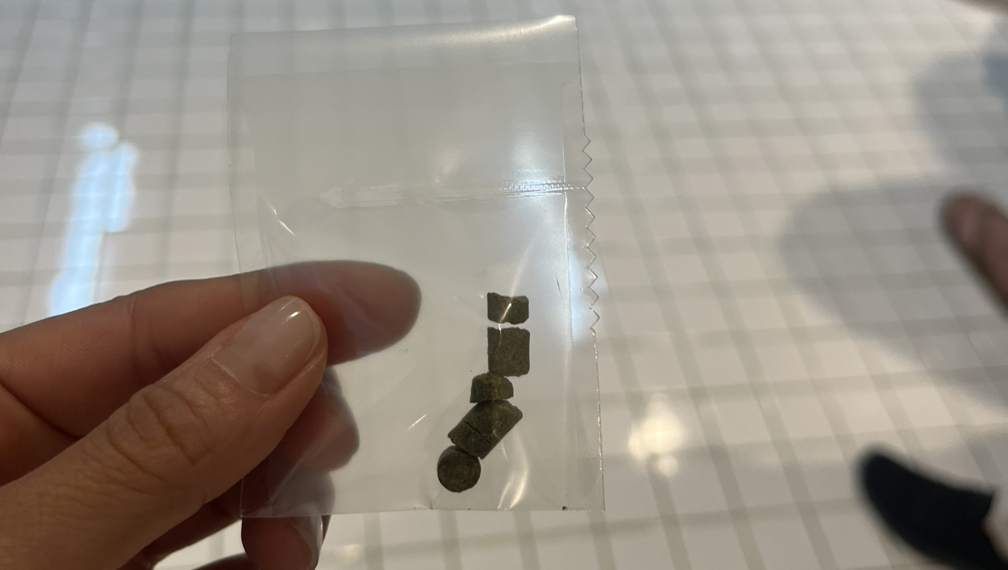 제주맥주 양조장 방문기