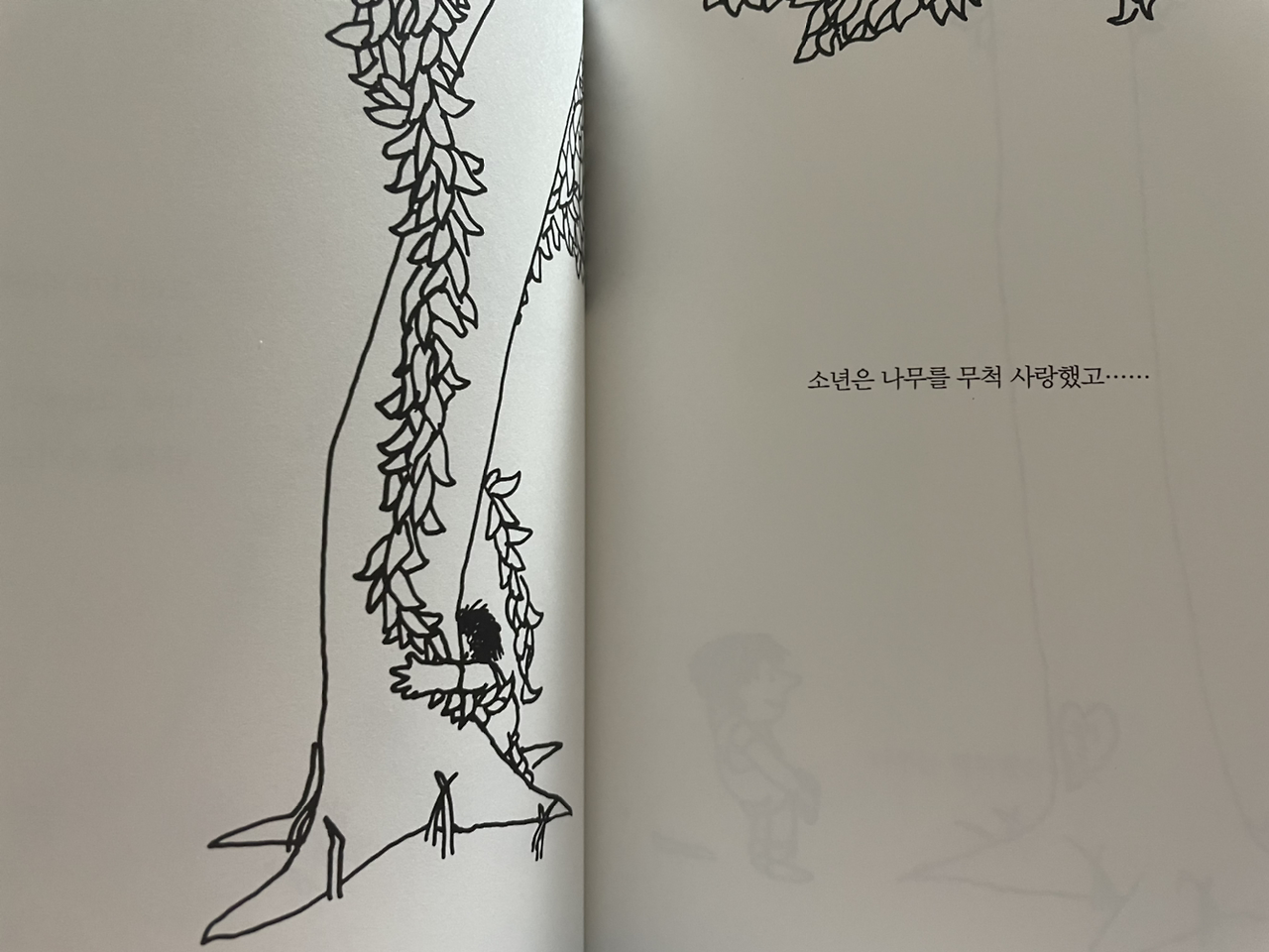 아낌없이 주는 나무