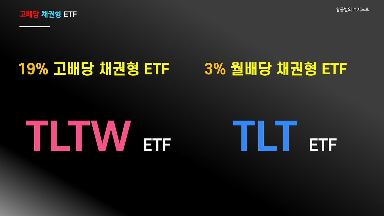 연배당률 19% 고배당 채권형 ETF 'TLTW'