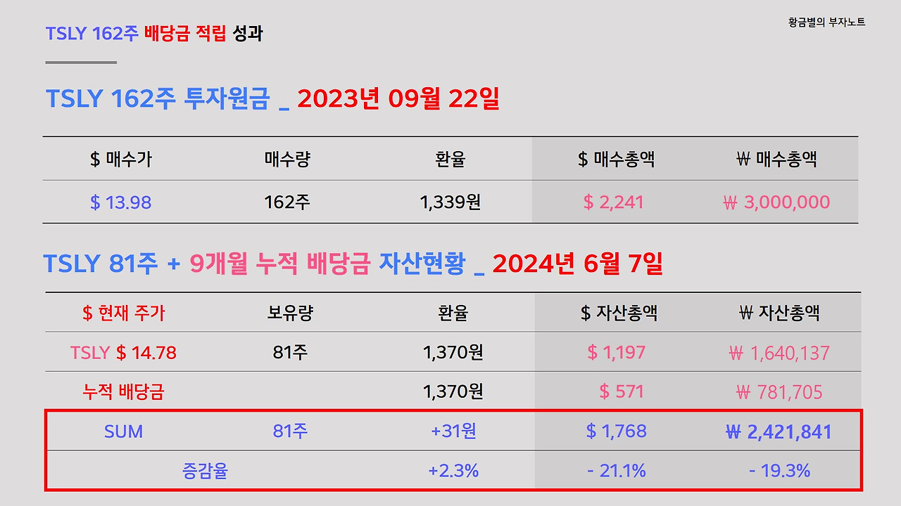 TSLY 투자원금 회수하기 9개월차 성과는 -20%