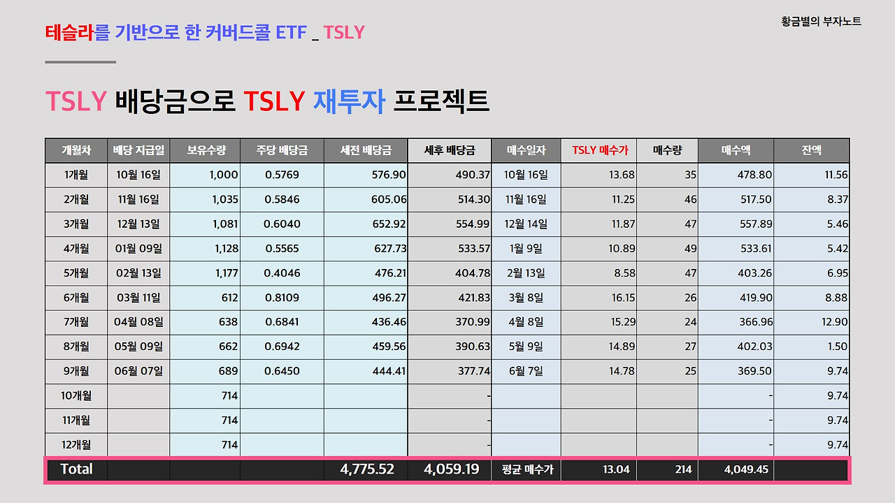 TSLY 투자원금 회수하기 9개월차 성과는 -20%