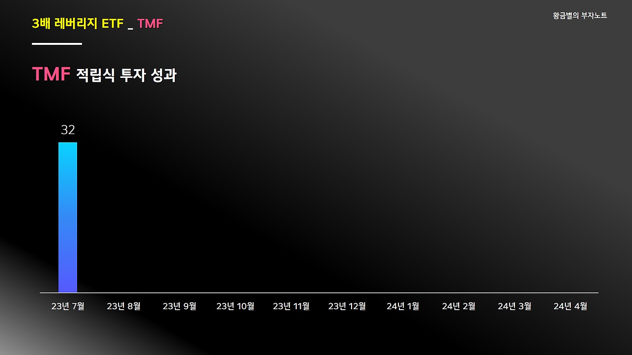 TLTW 배당금으로 3배 레버리지 TMF 32주 적립