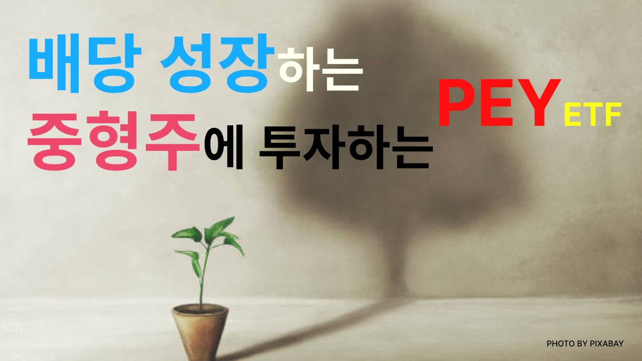 배당 성장하는 중형주에 투자하는 PEY ETF