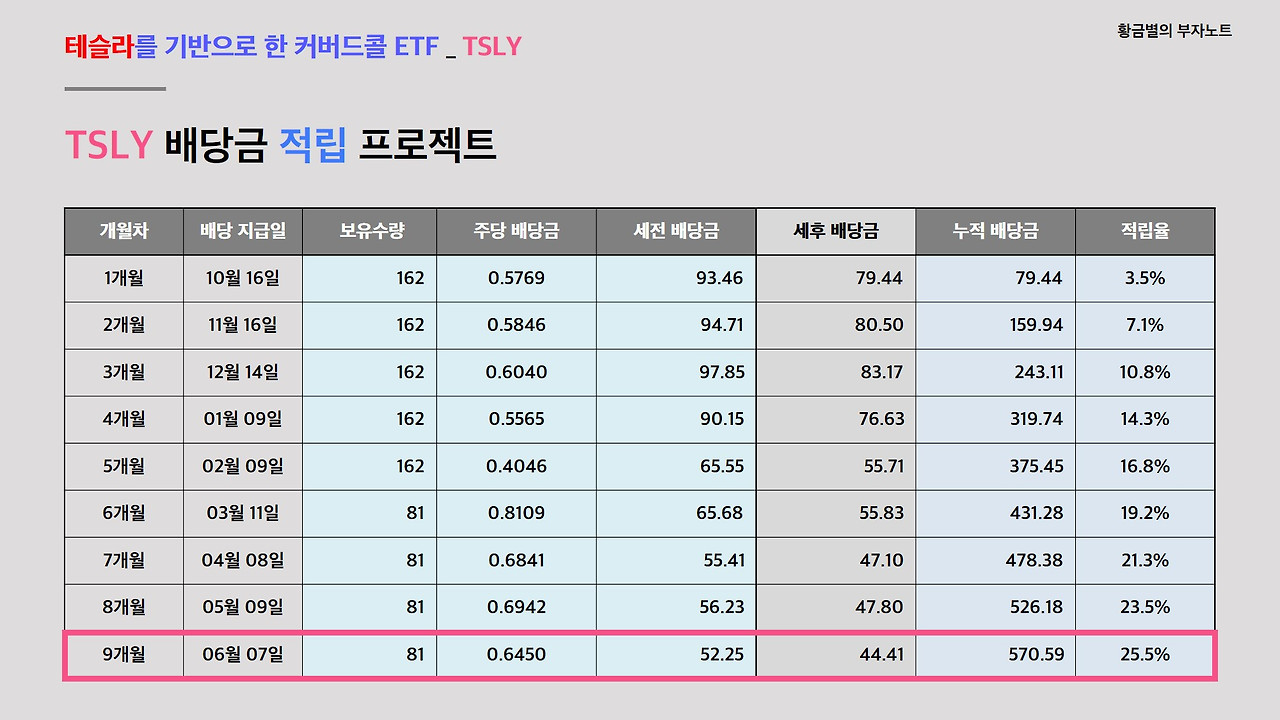 TSLY 투자원금 회수하기 9개월차 성과는 -20%