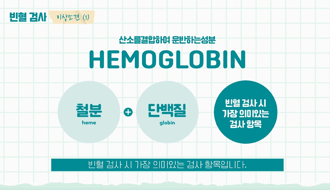 철 결핍성 빈혈이라고요