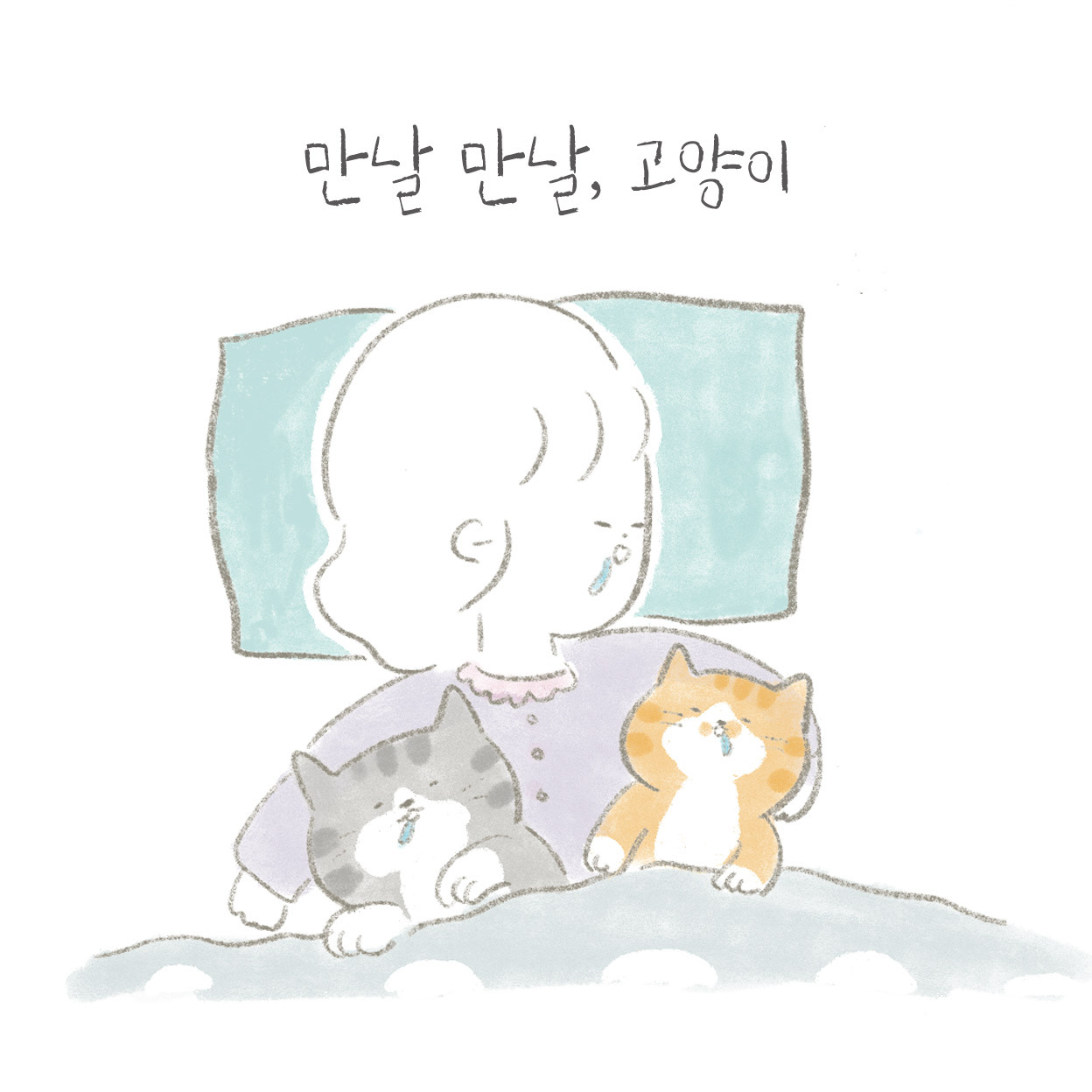 만날툰 만날만날 고양이 고양이툰