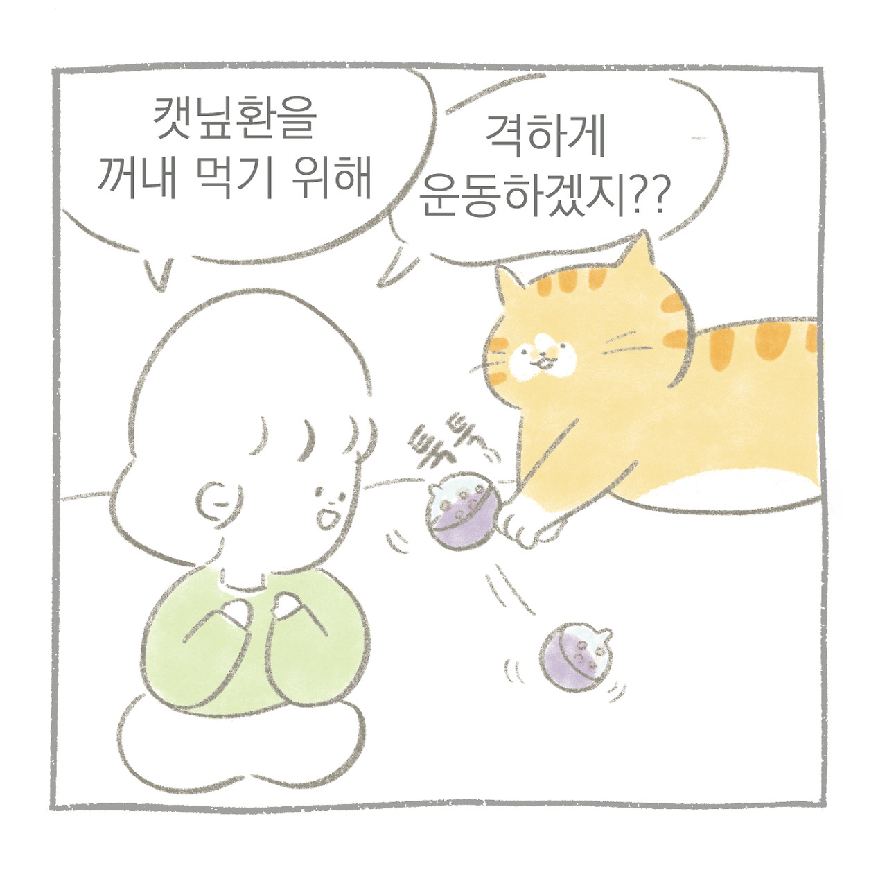 뒹굴뒹굴 고양이 운동 시키기 작전 만날툰