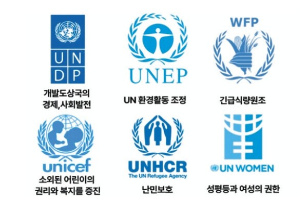 국제기구 취업 어떻게 준비하지
