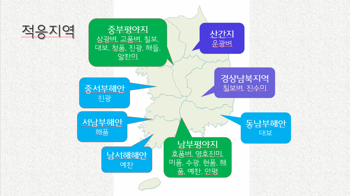 어떤 쌀을 찾으세요