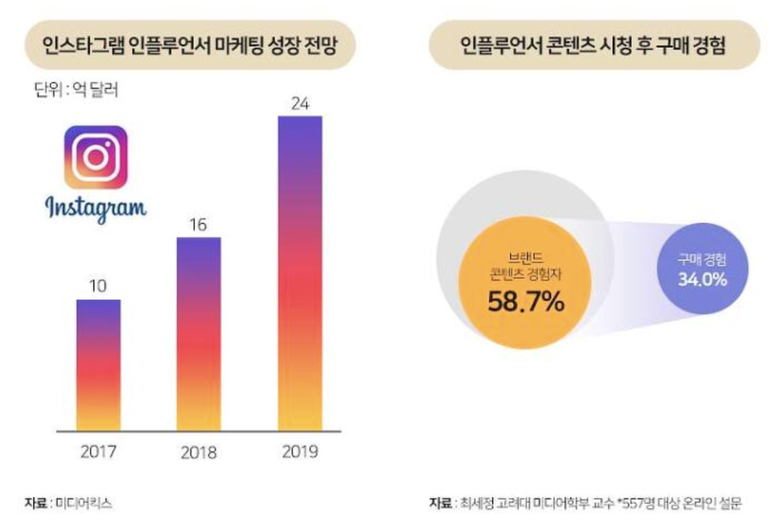 인플루언서 마케팅 Bm 머쉬룸 페이퍼 팜