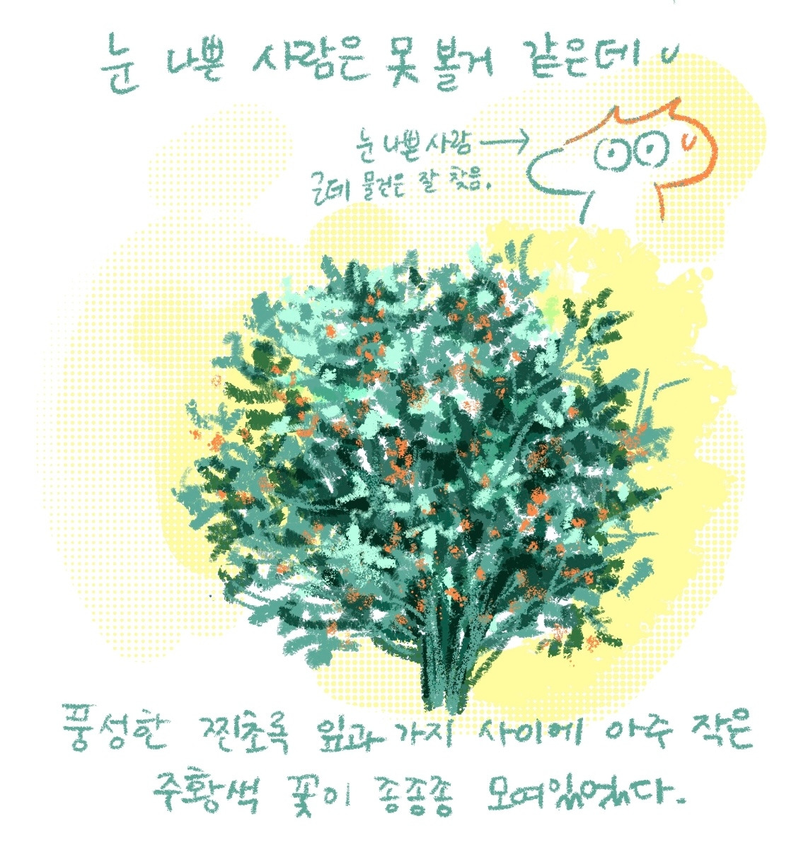 금목서 향기를 맡다
