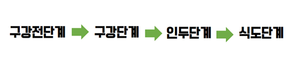 쉽게 이해할 수 있는 연하장애삼킴 곤란
