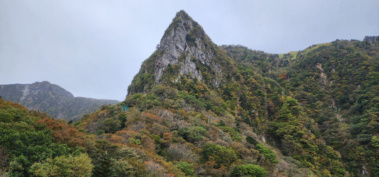 [버킷리스트 in제주] 한라산에 오르다!! (2)