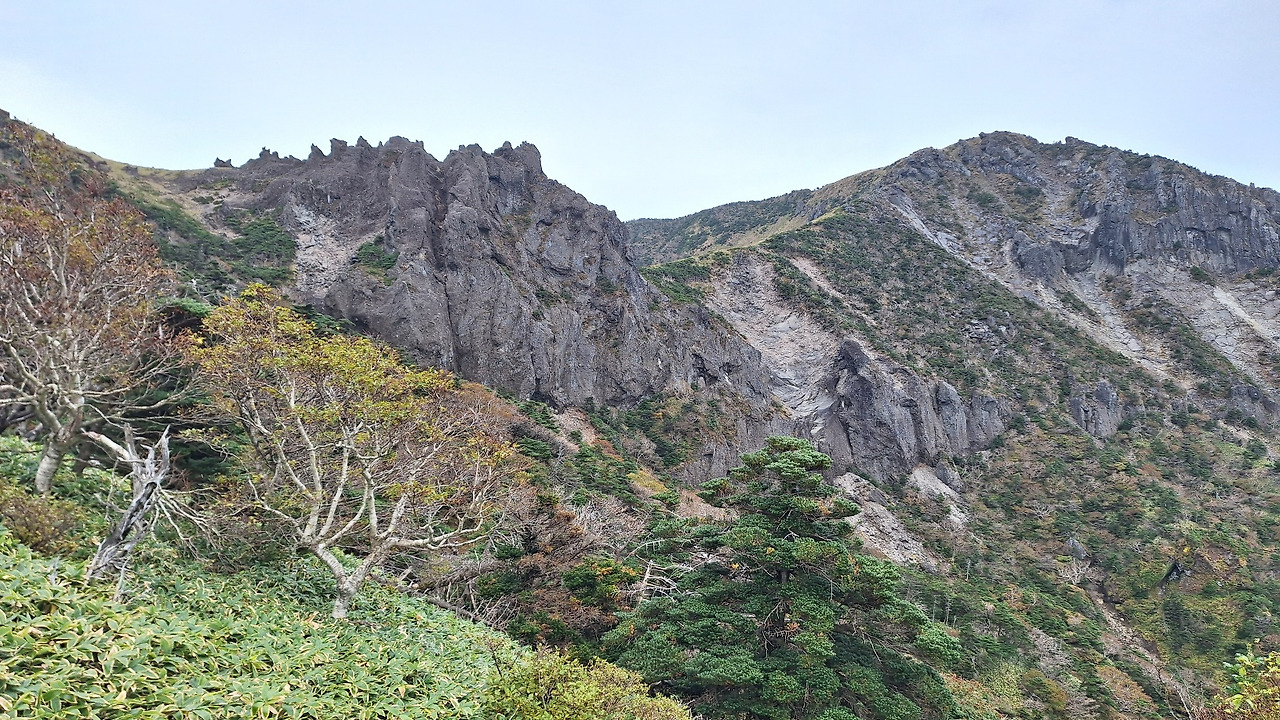 [버킷리스트 in제주] 한라산에 오르다!! (2)