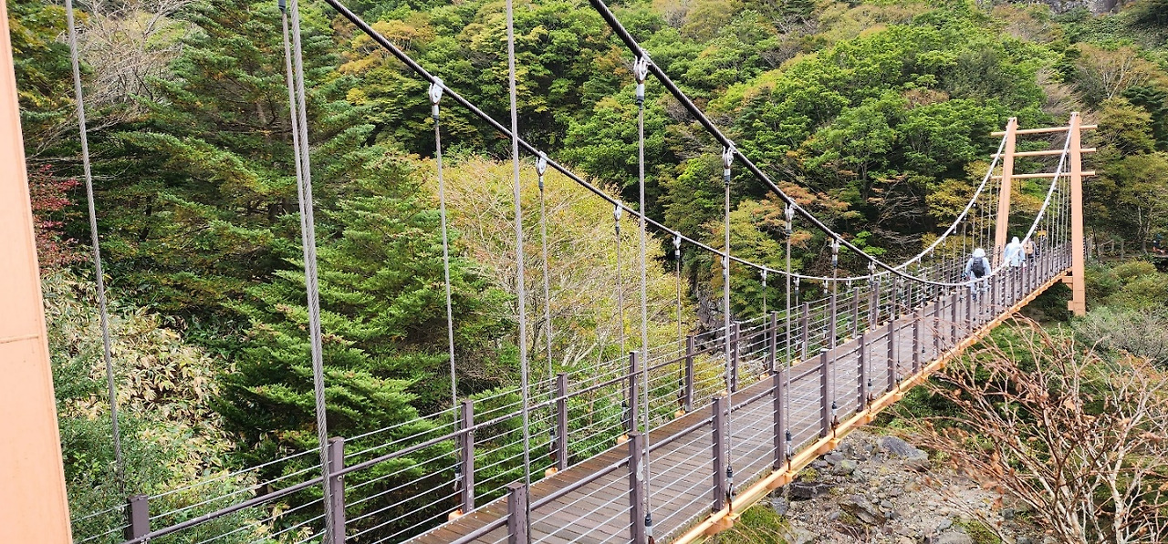 [버킷리스트 in제주] 한라산에 오르다!! (2)